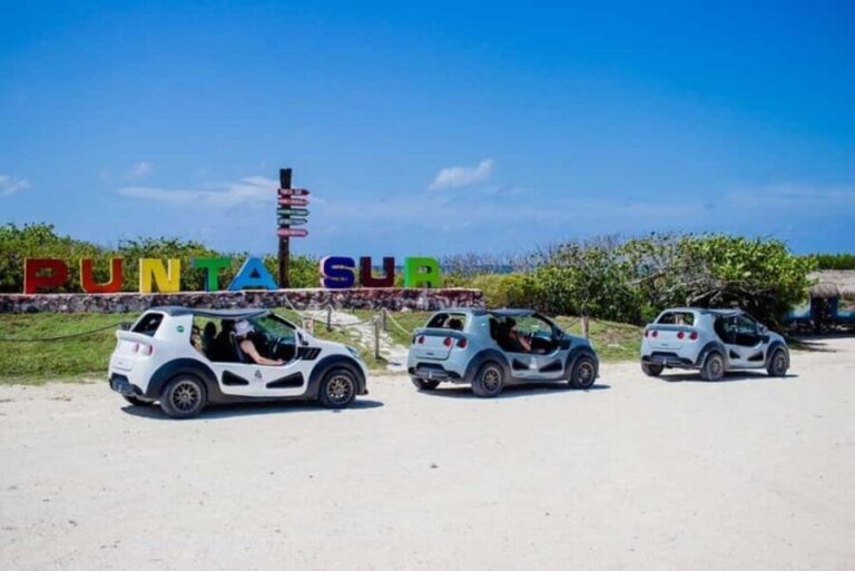 Cozumel: Private Buggy Tour to Punta Sur Park All Inclusive - The Food and Drink Experience: Savoring Local Flavors