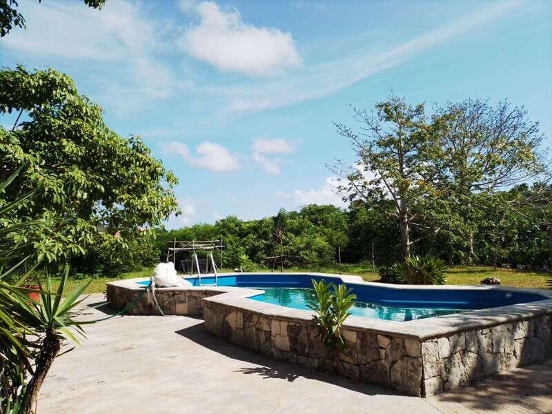 Cozumel: Private Caves and Ruins Tour with Lunch 5 Hours - Who Will Love This Tour?