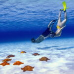 Cozumel: Private Snorkel Tour El Cielo + 3 Reefs Food Drinks - The Itinerary in Detail