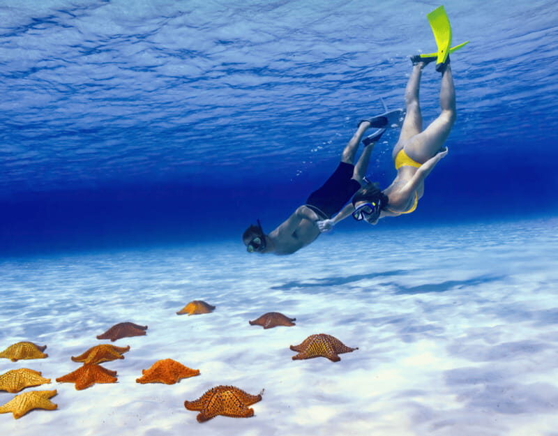 Cozumel: Private Snorkel Tour El Cielo + 3 Reefs Food Drinks - The Itinerary in Detail