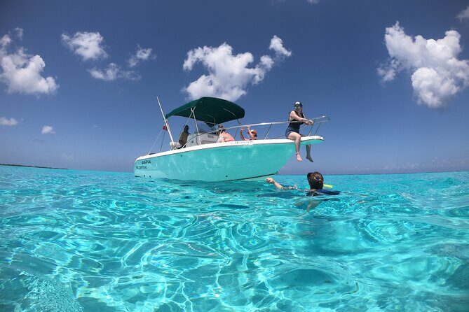 Cozumel Private Snorkeling and Charter Experience - The Itinerary: What to Expect