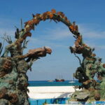 Cozumel: Private Van - Your Day, Your Way - The Itinerary: What to Expect and How It Works