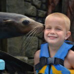 Cozumel: Sea Lion Program at Chankanaab Beach Adventure Park - In-Depth Look at the Itinerary