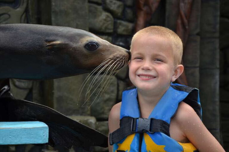 Cozumel: Sea Lion Program at Chankanaab Beach Adventure Park - In-Depth Look at the Itinerary