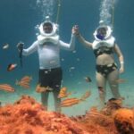Cozumel: Sea Trek Adventure at Chankanaab National Park - The Itinerary in Detail