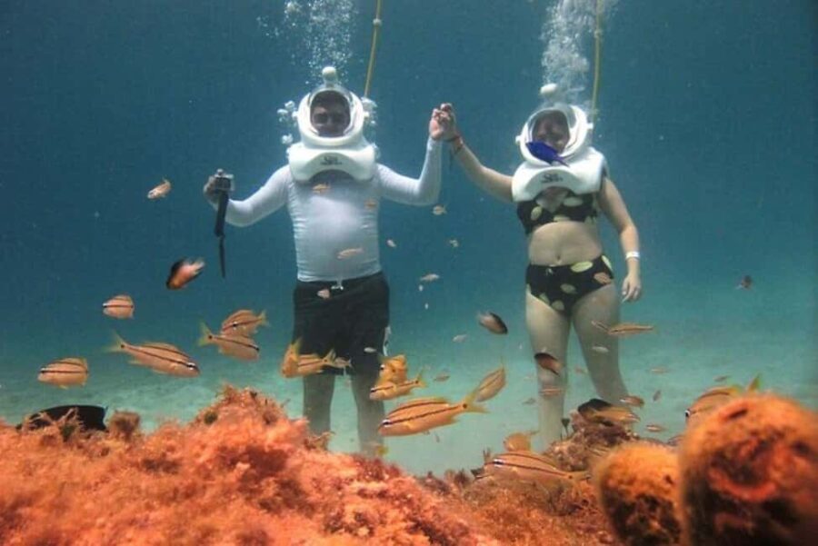 Cozumel: Sea Trek Adventure at Chankanaab National Park - The Itinerary in Detail