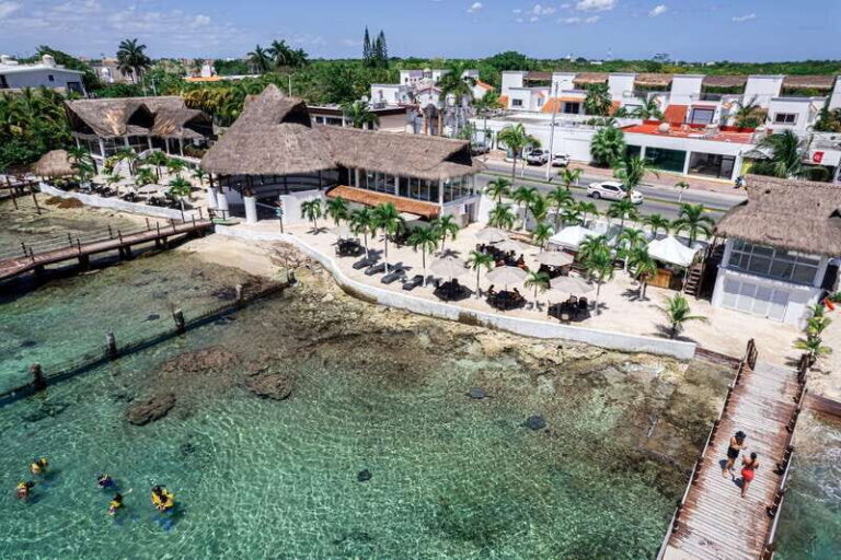 Cozumel: Snorkel and Swim with Stingrays - What the Tour Looks Like