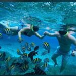 Cozumel: snorkeling on reefs + visit to "El Cielo" - Assessing the Value