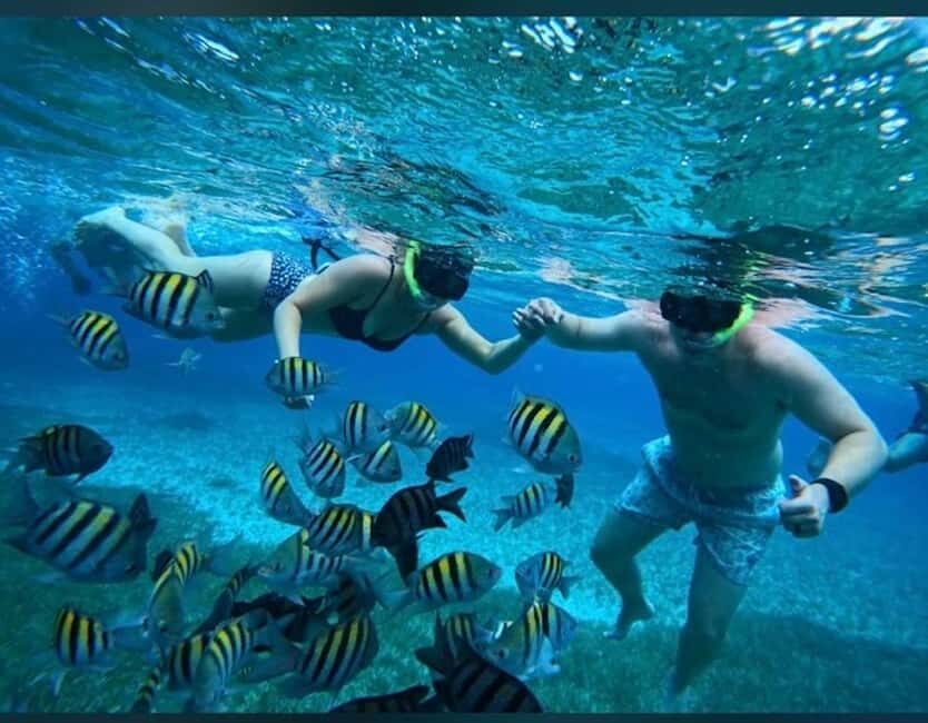 Cozumel: snorkeling on reefs + visit to "El Cielo" - Assessing the Value