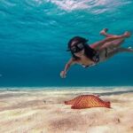Cozumel Snorkeling Tour: Palancar, Columbia and El Cielo Reefs - Frequently Asked Questions