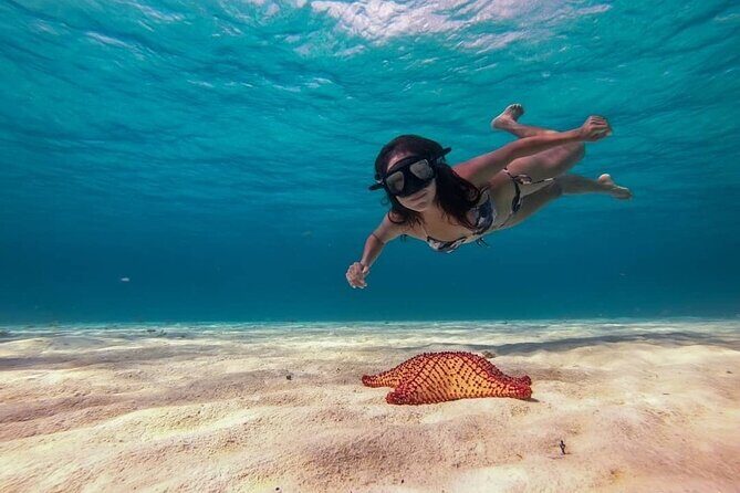 Cozumel Snorkeling Tour: Palancar, Columbia and El Cielo Reefs - Frequently Asked Questions