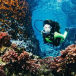 Cozumel: Twilight and Night Dive for Certified Divers - What to Expect: From Sunset to Stargazing