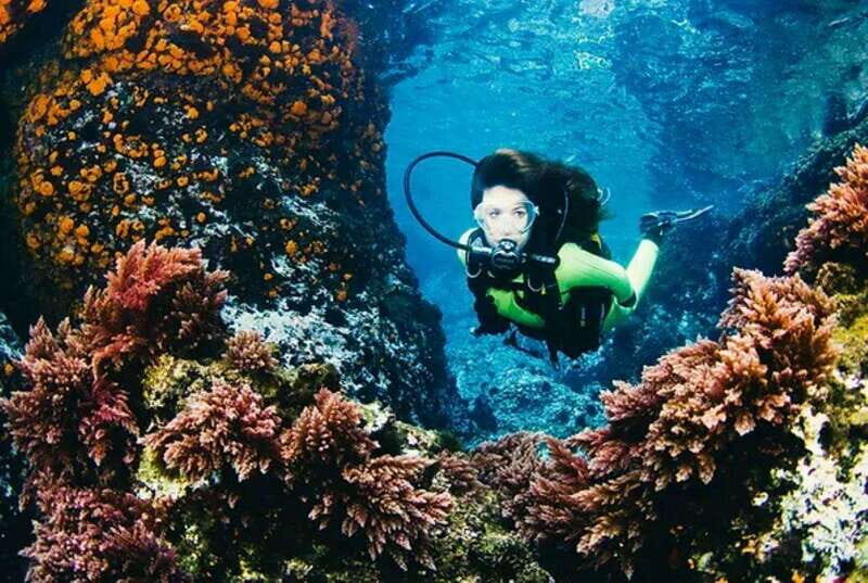 Cozumel: Twilight and Night Dive for Certified Divers - What to Expect: From Sunset to Stargazing