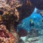 Cozumel underwater 2 Tank Dive by boat - What Makes This Tour Stand Out