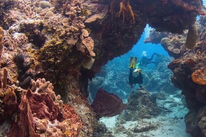 Cozumel underwater 2 Tank Dive by boat - What Makes This Tour Stand Out