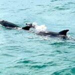 Crab Island Adventure - The Itinerary Breakdown