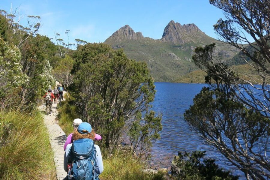 Cradle Mountain: Day Trip from Launceston with Lunch - Value and Overall Impression
