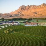 Craggy Range Deluxe Wine Tour - Private Option - Transportation, Timing, and Group Dynamic