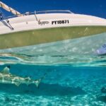 Crazyseahorseborabora Comfortable boat , sensational snorkeling . - A Closer Look at Itinerary and Highlights
