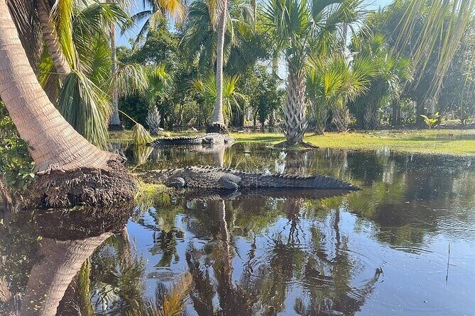 Crocodiles and Turtles Ecological Tour - Why This Tour Stands Out