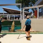 Crocosaurus Cove General Admission Ticket - Who Should Visit Crocosaurus Cove?