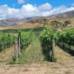Cromwell Wine Tasting Tour using Classic Car - Detailed Breakdown of the Itinerary
