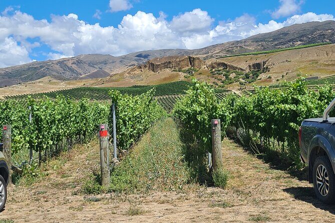 Cromwell Wine Tasting Tour using Classic Car - Detailed Breakdown of the Itinerary