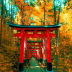 Crowd-Free Kyoto: Fushimi Inari, Nijo Castle & Kinkaku-ji - Final Thoughts on Value and Experience