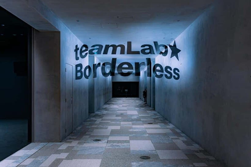 Crowd-Free Tokyo : teamLab, Roppongi Hills Views & NACT - Why This Tour Matters for Your Tokyo Visit