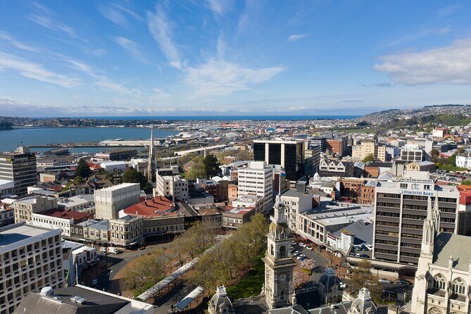 Cruise Dunedin City and Castle Tour - Why Travelers Love This Tour