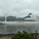 Cruise Excursion: Kuala Lumpur City Tour with Twin Tower Entrance - Cultural and Historical Stops