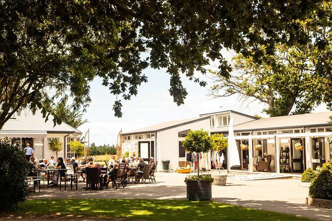 CRUISE SHIP DAY LYTTELTON Hop On Hop Off Wine Tours to Waipara - Discovering North Canterbury’s Wineries and Attractions
