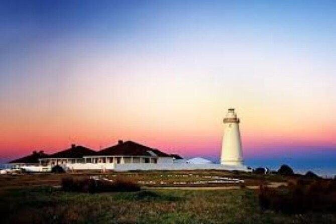 Cruise Ship Dudley Peninsula Tour - Authentic Experiences and Traveler Insights