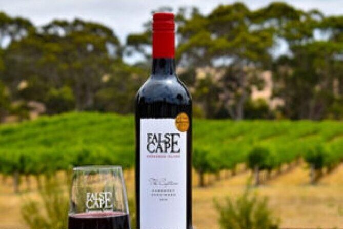 CRUISE SHIP Dudley Wines & False Cape Wine Tour - Who Will Enjoy This Tour?