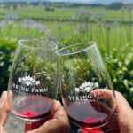 Cruise Ship Friendly Yarra Valley Wine Tour with Port Pickup - What Makes This Tour Stand Out?
