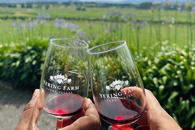 Cruise Ship Friendly Yarra Valley Wine Tour with Port Pickup - What Makes This Tour Stand Out?