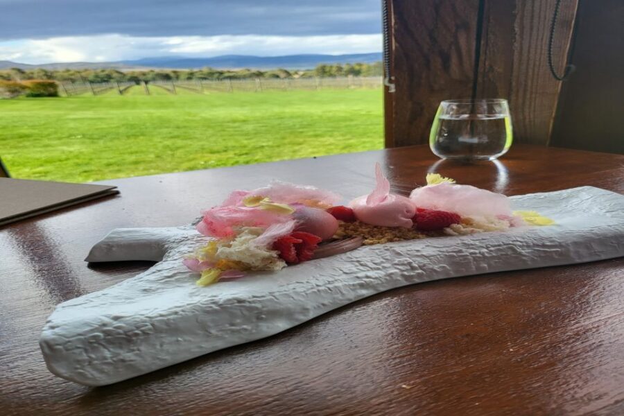 Cruise Ship - Wine Shore Excursion - Hobart - Why We Think You’ll Love This Tour
