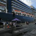 Cruiseship Tour to MY SON HOLYLAND - DA NANG CITY From Chan May or Tien Sa Port - Diving Deeper into the Itinerary