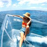 Crusers only Under the Sea of Cozumel - Embarking on the Transparent Boat Adventure