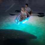 Crystal River: Clear Kayak Sunset & Night Glow Tour - Key Points