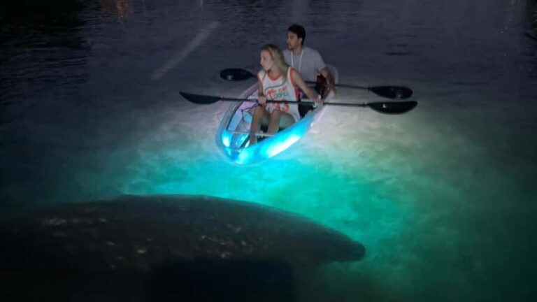 Crystal River: Clear Kayak Sunset & Night Glow Tour - Key Points