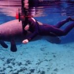 Crystal River: VIP Kayak and Swim with Manatees Tour - The Itinerary — Step by Step