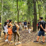 Cu Chi Tunnels Afternoon Trip from Ho Chi Minh City - Authentic Experiences and Real-World Insights
