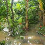 Cu Chi Tunnels & Mekong Delta Small Group Tour Full Day - Final Thoughts: Who Is This Tour Ideal For?
