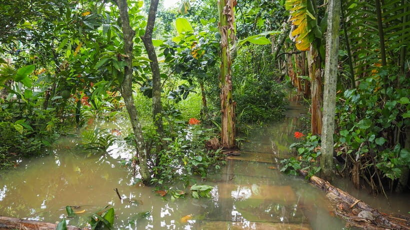 Cu Chi Tunnels & Mekong Delta Small Group Tour Full Day - Final Thoughts: Who Is This Tour Ideal For?