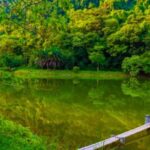 Cuc Phuong Forest - The Forest Of Thousands Of Butterflies - Who Should Consider This Tour?