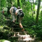 Cuc Phuong National Park - Ninh Binh - Final Thoughts: Is It Worth It?