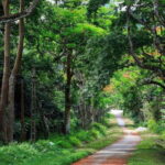 Cuc Phuong National Park Private Tour From Hanoi Old Quarter - Why This Tour Offers Good Value