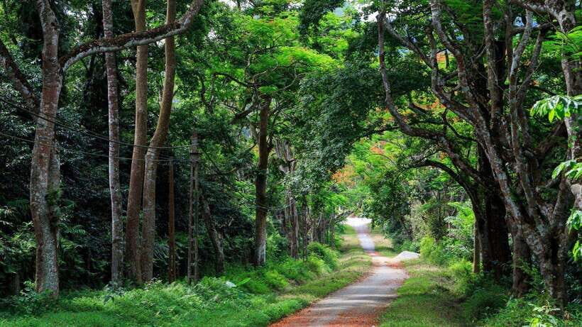 Cuc Phuong National Park Private Tour From Hanoi Old Quarter - Why This Tour Offers Good Value