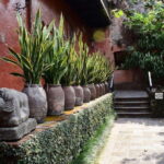 Cuernavaca: Museo Robert Brady Entrance Tickets - The collection: what’s inside?